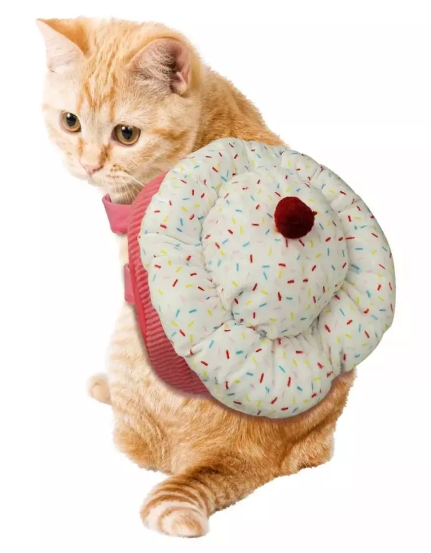 Cupcake Halloween Galu ndi Cat Costume