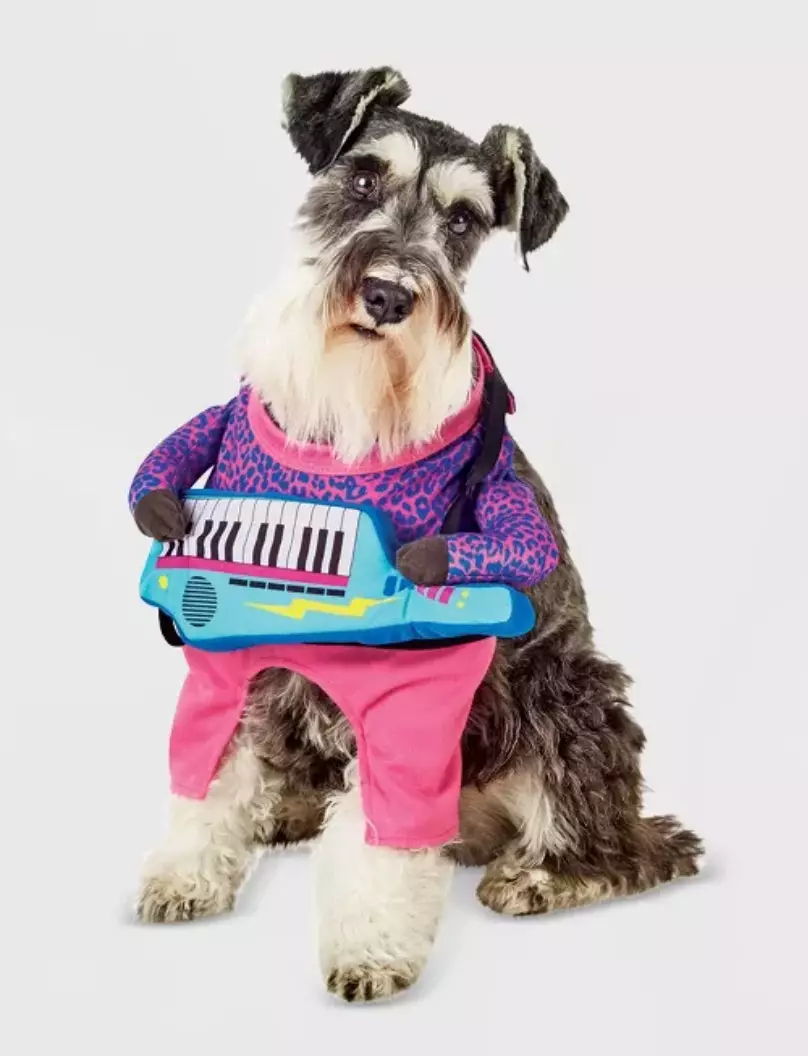 Keyboard Guitarist Frontal Dog and Cat Costume