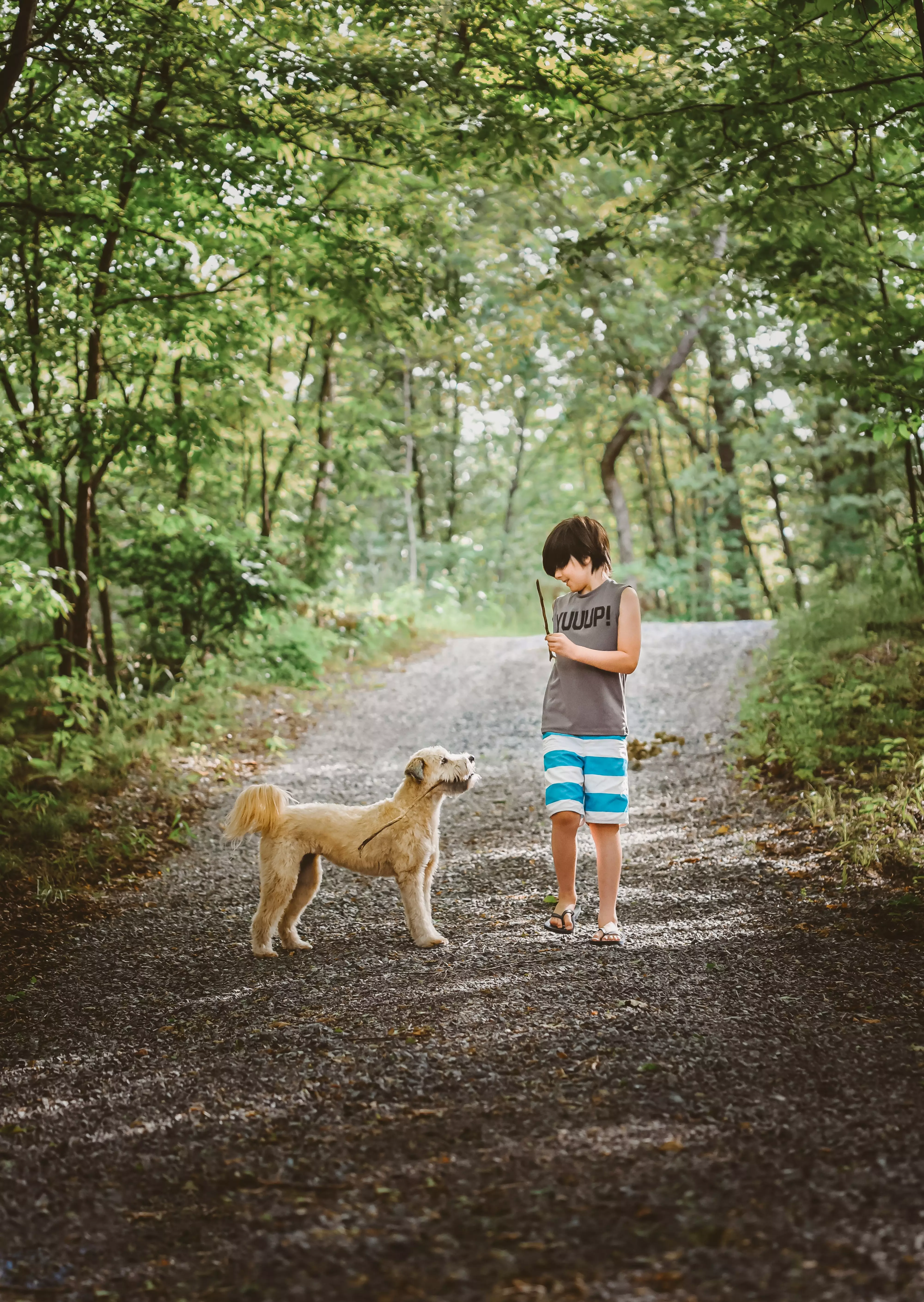 bambino e cane nella foresta, imparando a conoscere la malattia di Lyme nei cani