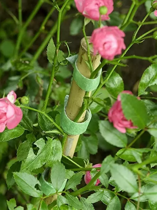 Certaines plantes ont besoin d'un peu de soutien supplémentaire, donc avoir des attaches de jardin dans votre collection d'outils de jardinage est...