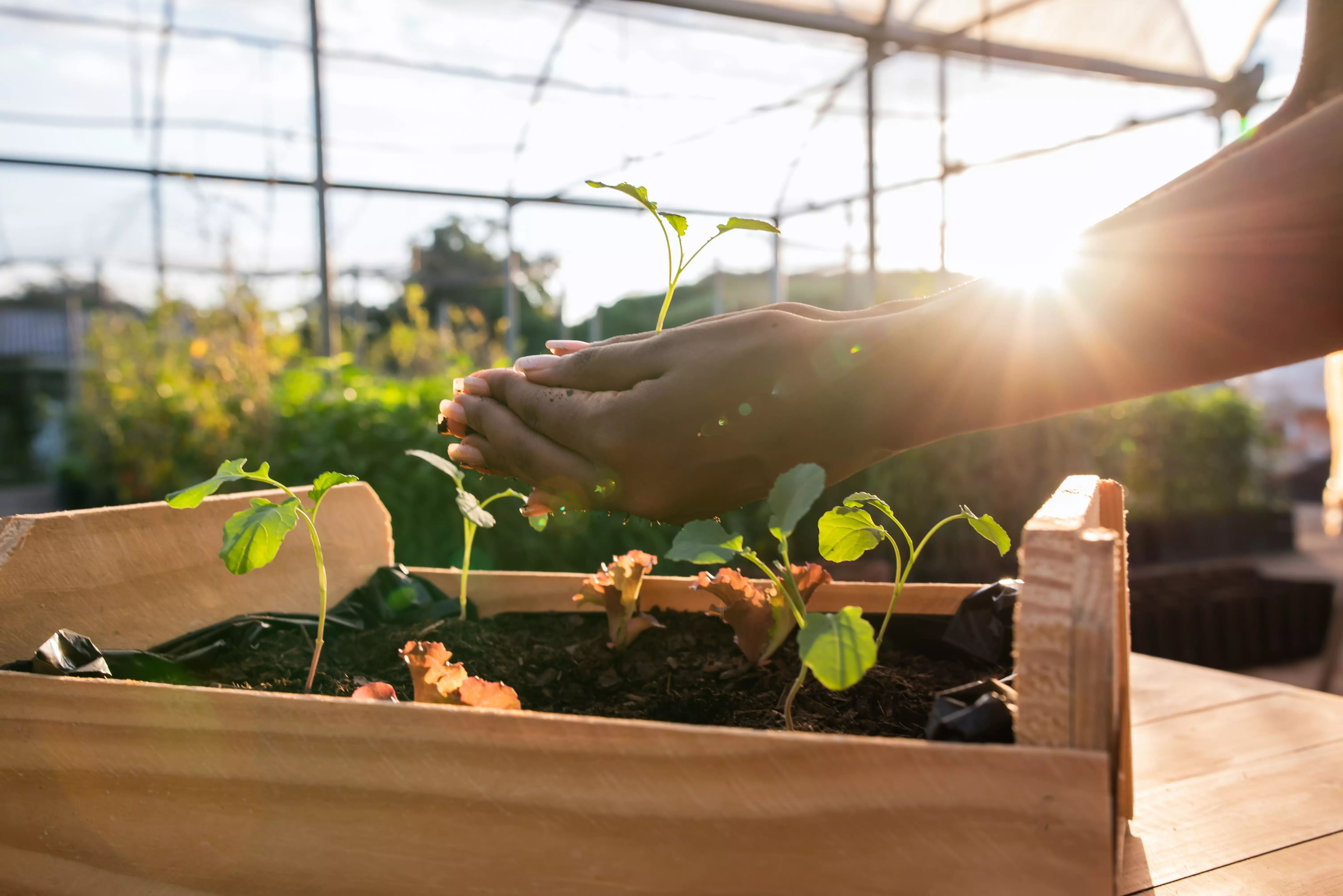 Què cal tenir en compte a l'hora de fer jardineria durant l'embaràs