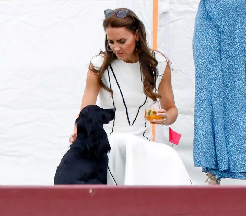 Kate Middleton at have en cocktail, mens hun klapper sin hund ved en polokamp, er ren lyksalighed