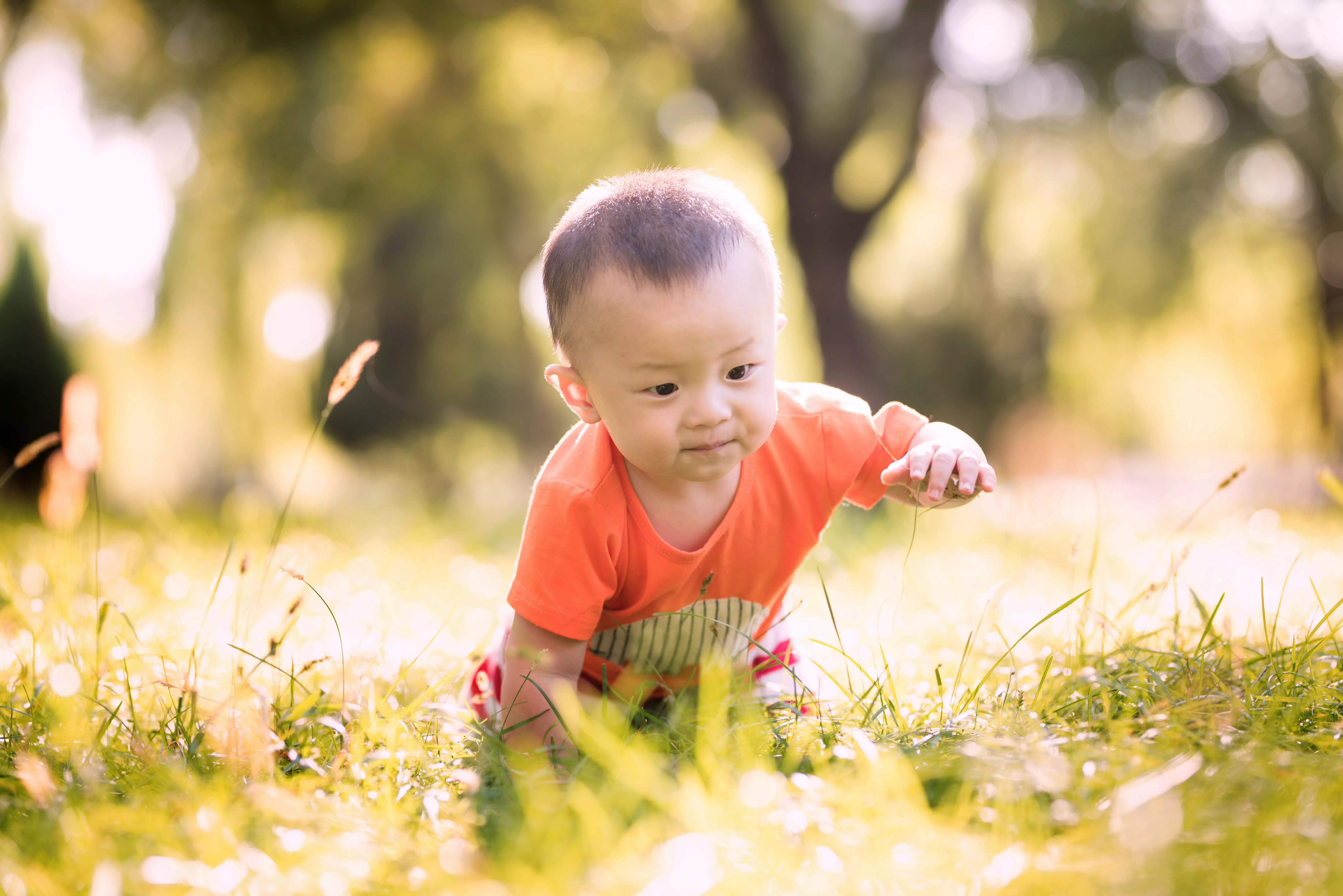 baby gutt kryper i gresset, sommer baby guttenavn